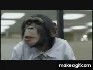 Monkey Business Profits on Make a GIF