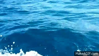 La Mer Méditerranée on Make a GIF