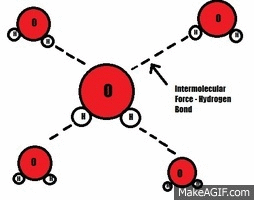 hydrogen bond in water on Make a GIF