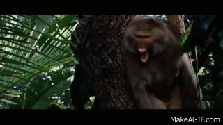 The Rundown "Get outta here monkey!" on Make a GIF