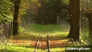 Cảnh mùa thu lá rơi | Cảnh đẹp ở Nga | BI BI TV on Make a GIF