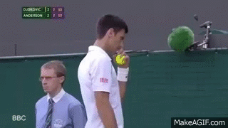 Novak Djokovic Screams At Ball Girl,Make Her Cry,Novak Djokovic Sorry ...