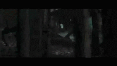 The Snatchers Chase Scene [HD] (Harry Potter & the Deathly Hallows Part ...