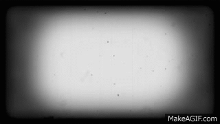 Old Film Texture Gif Tree Pine GIF Find & Share On GIPHY