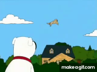 bird flames.wmv on Make a GIF