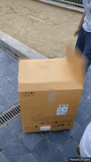 Lolll on Make a GIF