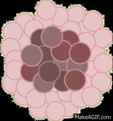 Cancer on Make a GIF