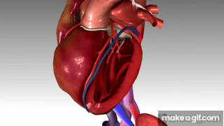 Gif De Animacao De Ataque Cardiaco AlissomX's Profile