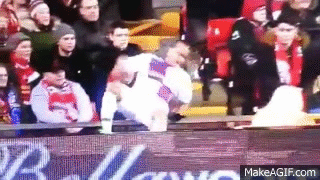 Fan Reacts to Player Falling into Stands on Make a GIF