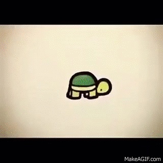 Turtle Rave on Make a GIF
