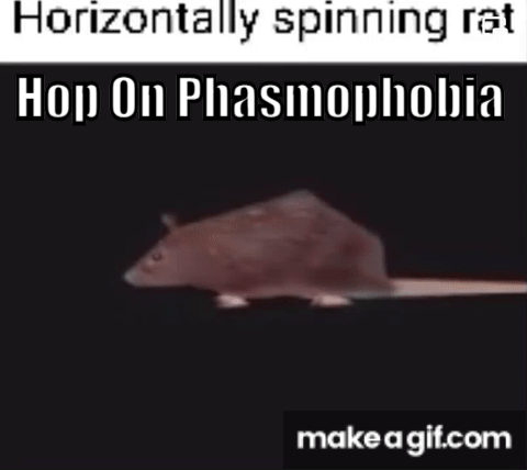 horizontally spinning rat on Make a GIF