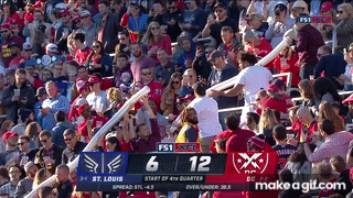 Beer Snake takes over Audi Field as D.C. Defenders fans build ...