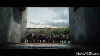 The Maze Runner | "Good Job" Clip [HD] | 20th Century FOX on Make a GIF