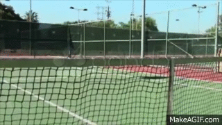 Tennis Ball Hits Net. Stock Footage on Make a GIF