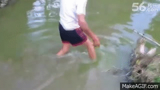 This is NOT How You Catch an Electric Eel (Electrophorus electricus) on ...