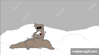 comically falling slugcat in the snow on Make a GIF