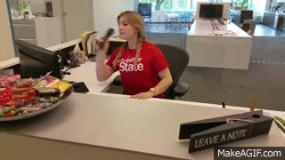Evolution of State Farm Agent & DAC Group on Make a GIF