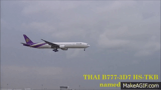 8X Thai airways landing Bangkok Suvarnabhumi airport PlaneSpotting A330 ...