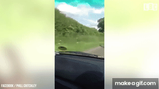 Passenger Filmed Shoving Cyclist Into Ditch From Inside Speeding Car on ...