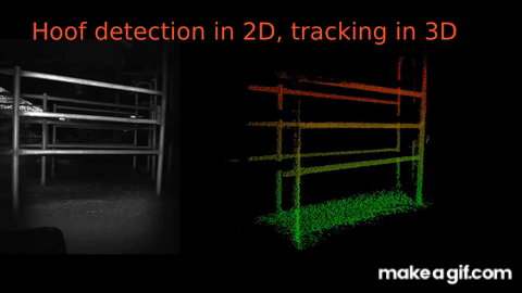 Automatic Dairy Cattle Lameness Detection System on Make a GIF