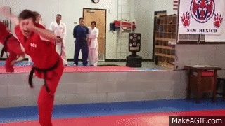 Enter The Dojo, Episode 9: "The Hurticane" on Make a GIF