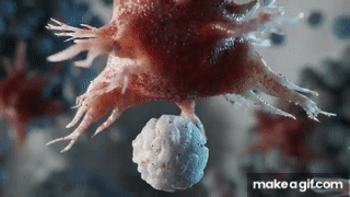 2023 Medical Animation Showreel - Animated Healthcare on Make a GIF