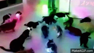 How to make Happy Hardcore on Make a GIF