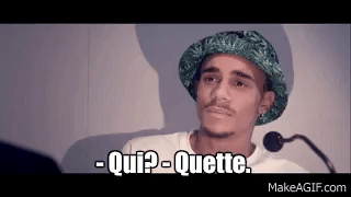 Qui? Quette on Make a GIF
