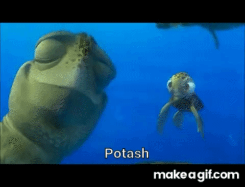 Potash on Make a GIF