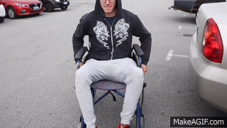 Disabled Pokemon Go - Eevee + Zubat on Make a GIF