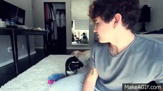 Furry Friend Tag on Make a GIF