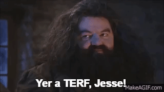 You're a TERF, Jesse! on Make a GIF