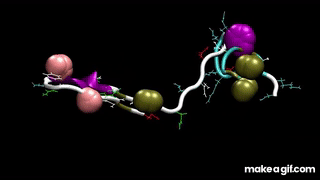 Simulating How Proteins Self-Assemble, Or Fold on Make a GIF