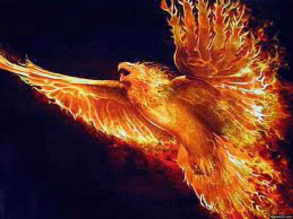 Heart Of A Phoenix On Make A