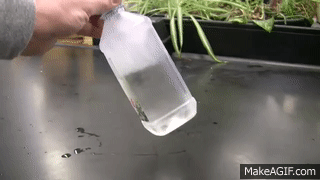 supercooled water on Make a GIF