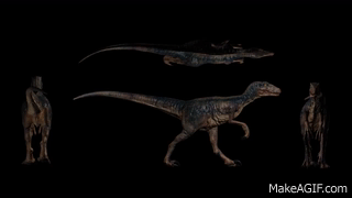 Gif éadaí Velociraptor