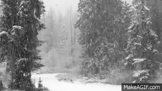 Fast Falling Snow 1080p Hd Without Music on Make a GIF
