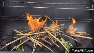 🔥 fire 🔥 on Make a GIF