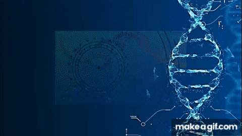 Maxam–Gilbert DNA Sequencing Method Animation on Make a GIF