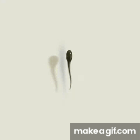 METAMORPHOSIS: The Life cycle of a Frog on Make a GIF