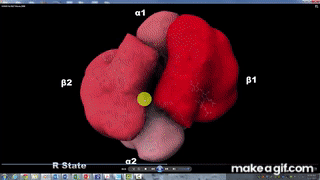 Haemoglobin conformation on Make a GIF