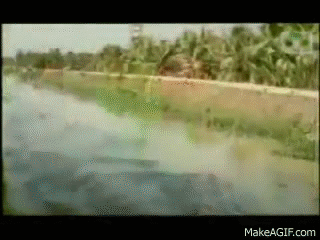 Vadivelu Winner Comedy Gif