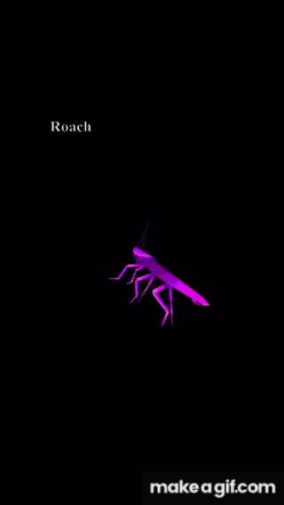 Dancing roach on Make a GIF