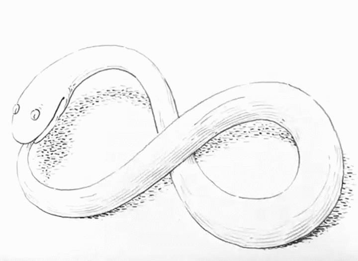 The Creation on Make a GIF