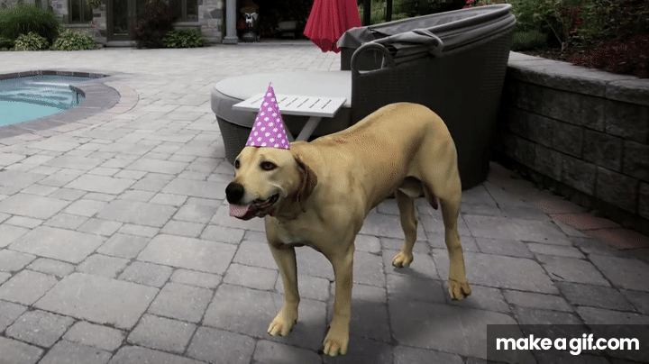 Current Mood on Make a GIF