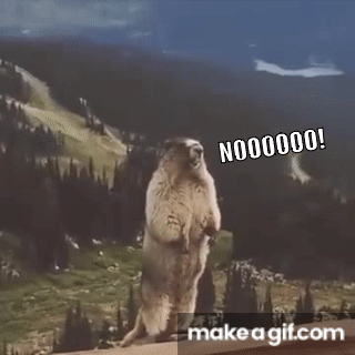 Prairie Dog Scream - When you have a bad day! on Make a GIF