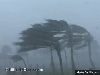 Hurricane Wilma Video - Miami Beach, Florida on Make a GIF