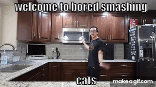 Bored Smashing - PLAYDATE on Make a GIF