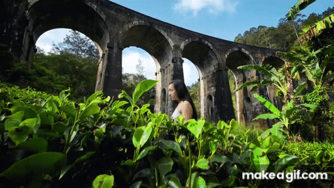 BEST TRAIN RIDE IN THE WORLD // SRI LANKA 9 ARCH BRIDGE on Make a GIF