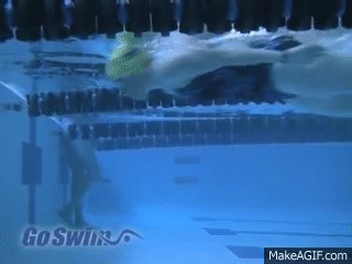 Swimming - Freestyle Flip Turn Step #3 on Make a GIF